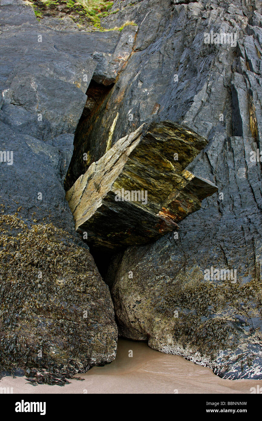 A shard of slate slipped from the cliffs at Musselwick snads ...