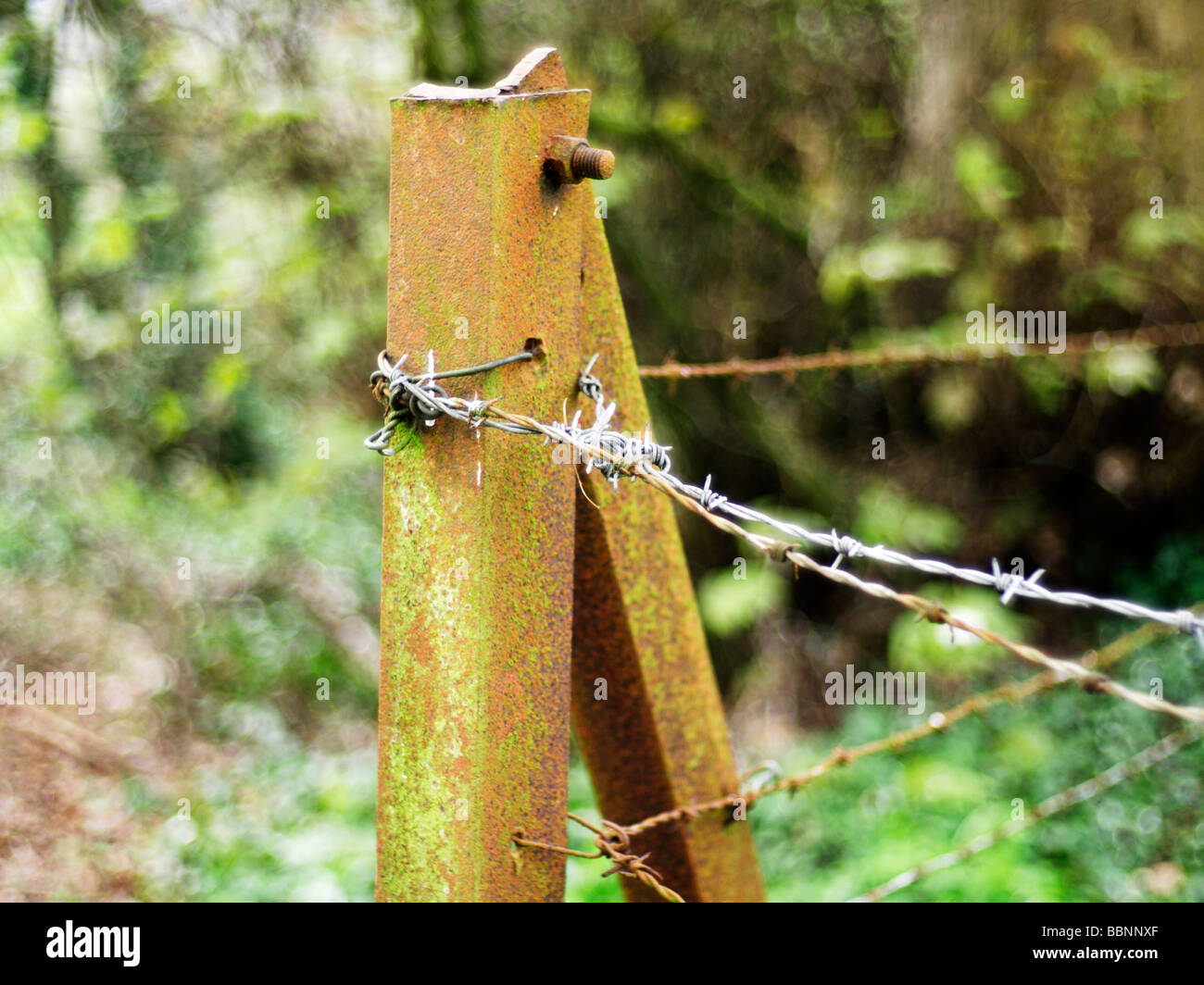 barbed wire on a gate Stock Photo - Alamy