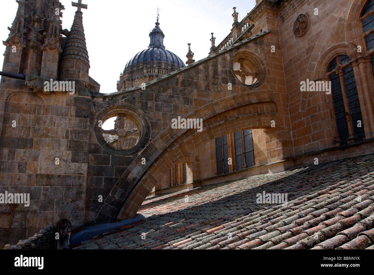 Flying buttress hi-res stock photography and images - Alamy