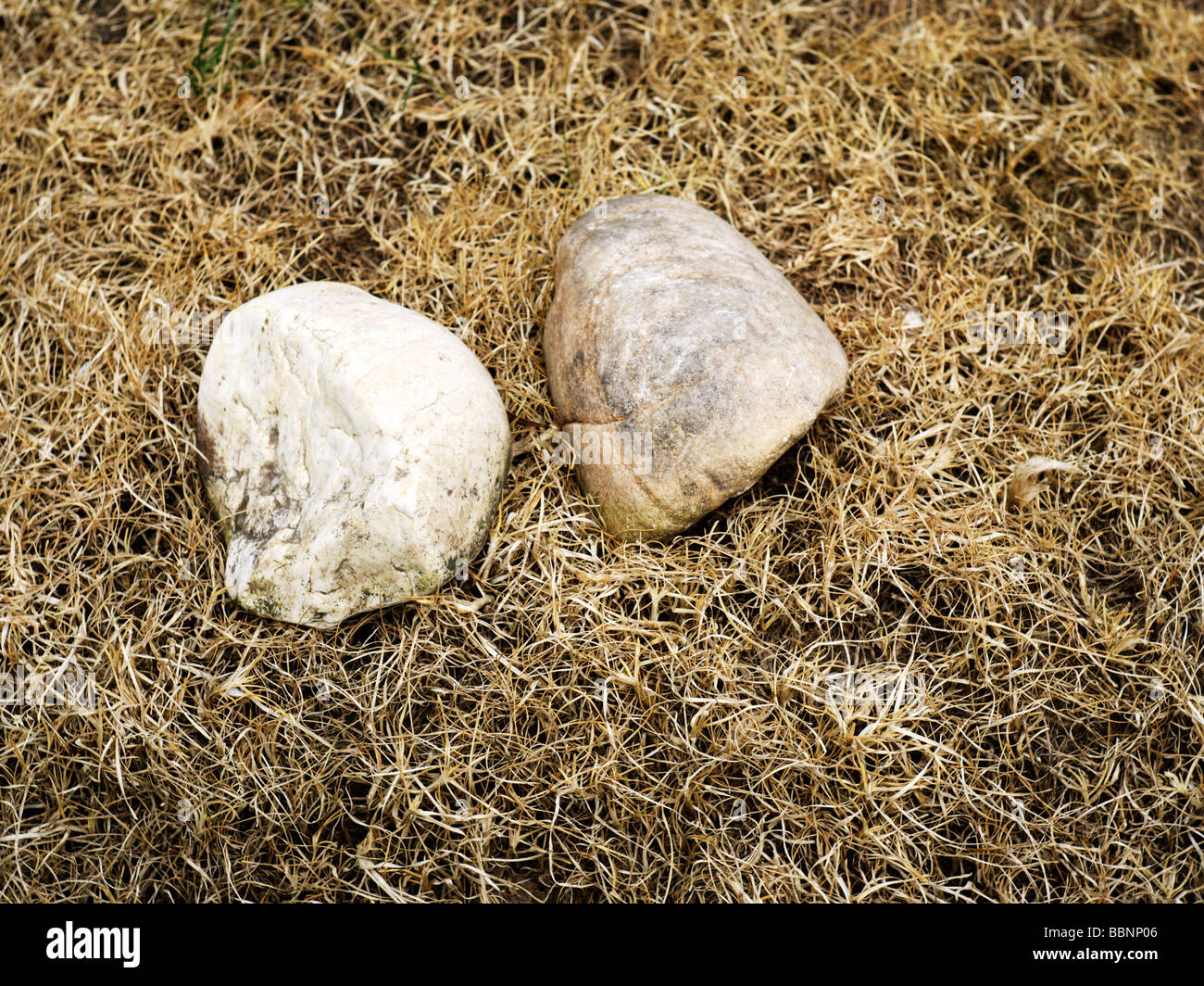 stones on the ground Stock Photo - Alamy