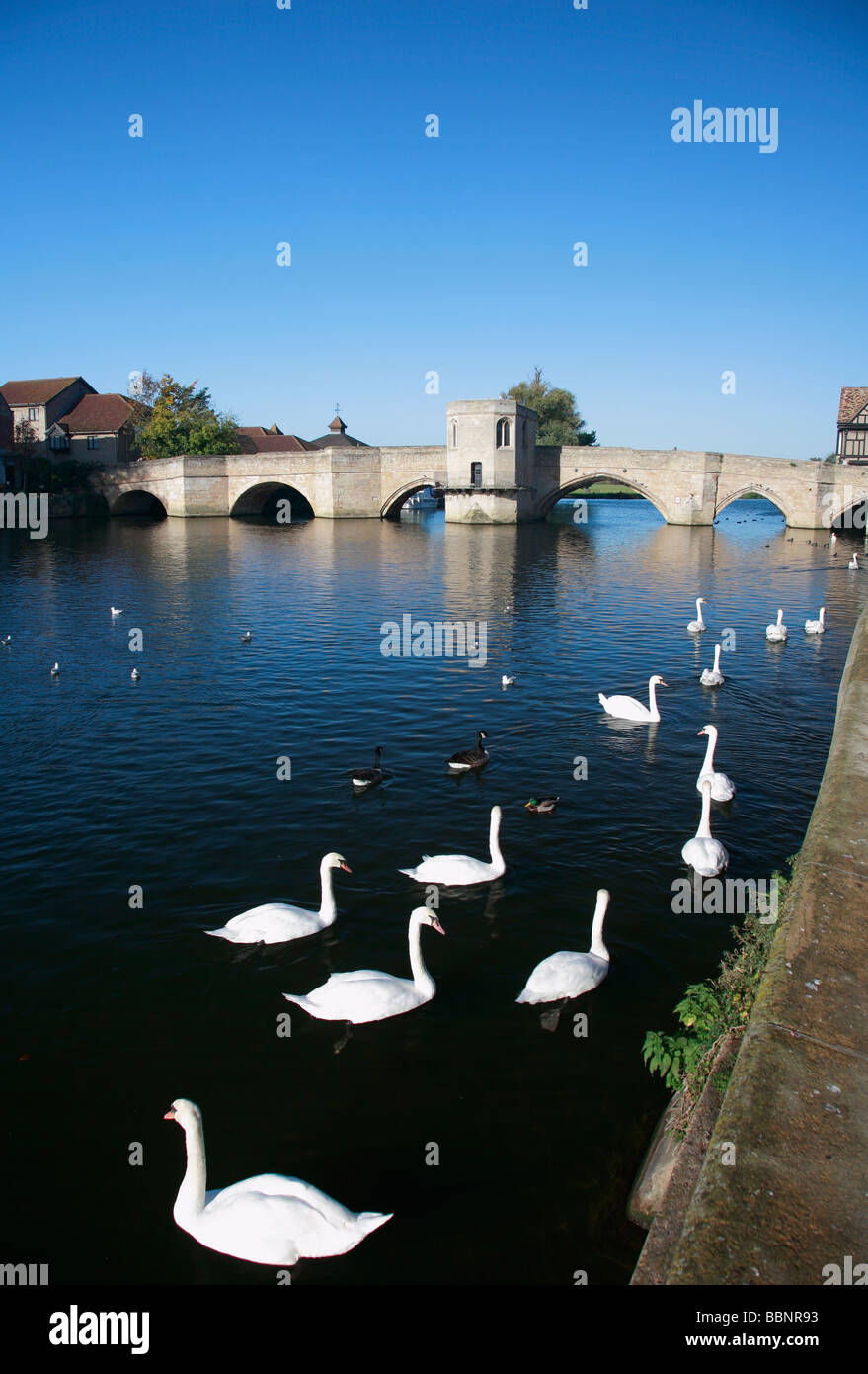 Bridge Chapel on the stone arched built river Great Ouse bridge at St ...