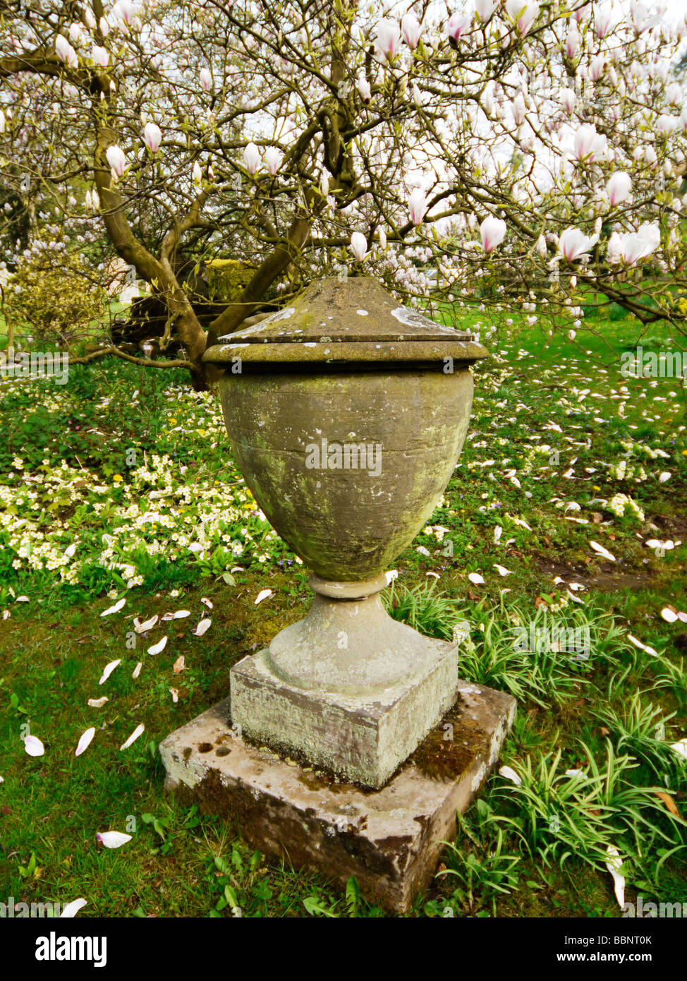 gravestones lit by the sun in a country cemetery Stock Photo - Alamy