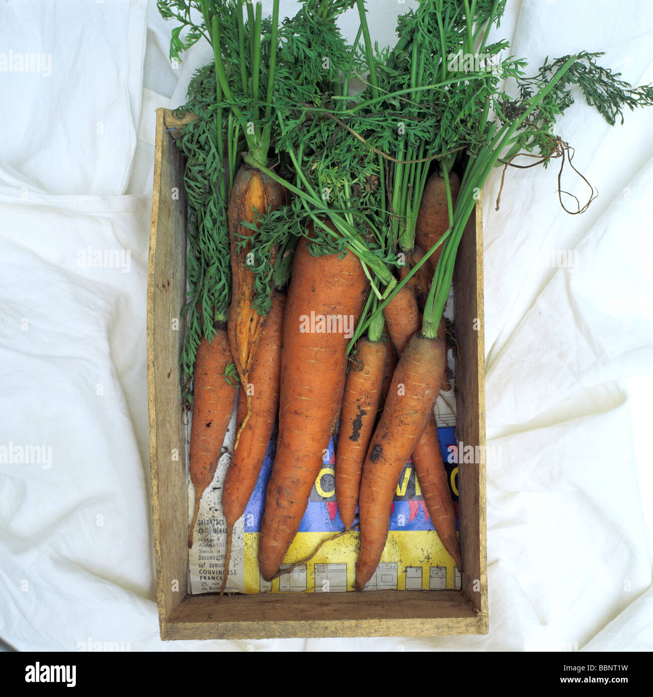 Bundle of carrots in a wooden crate Stock Photo - Alamy