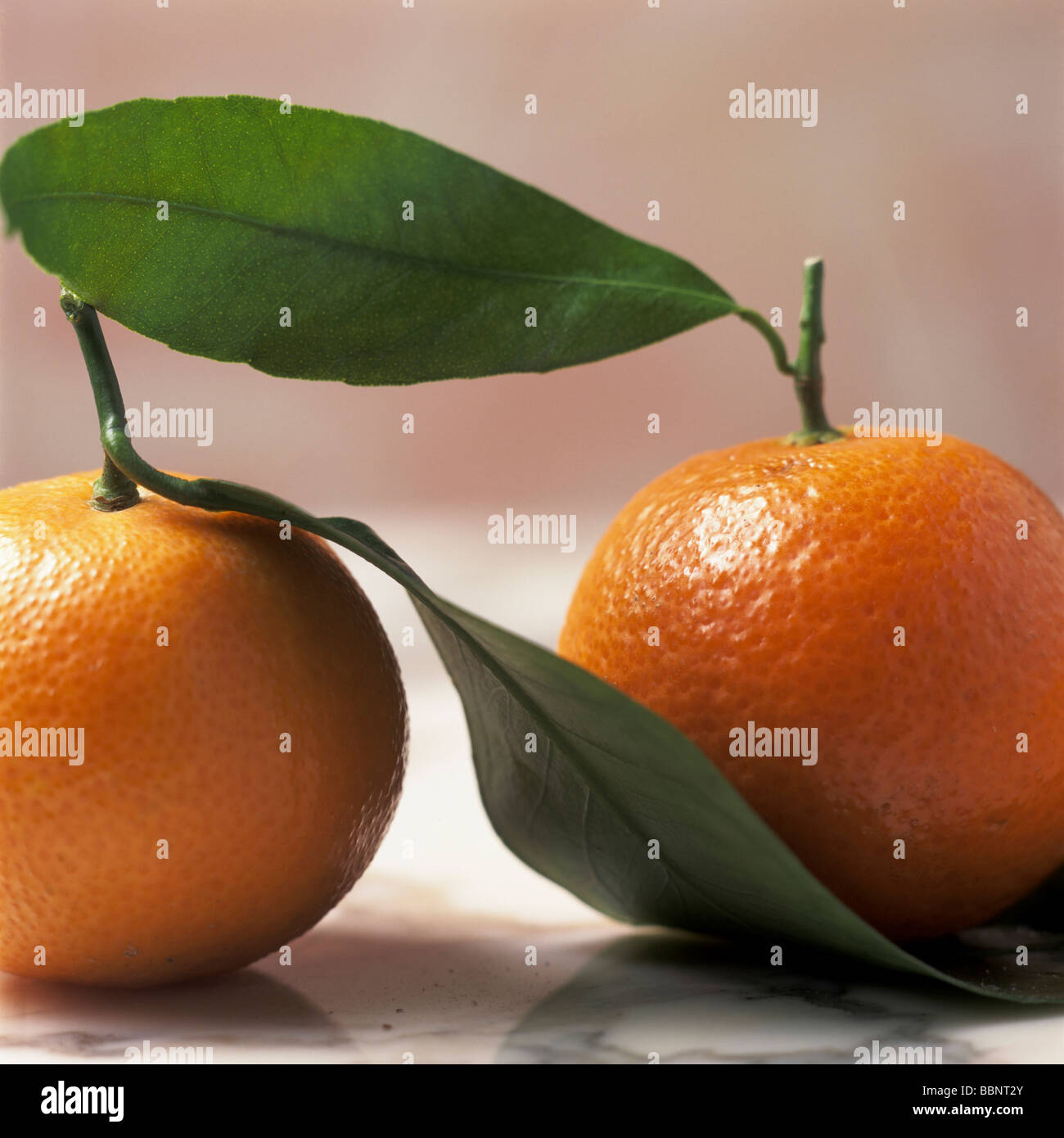 Two tangerines hi-res stock photography and images - Alamy