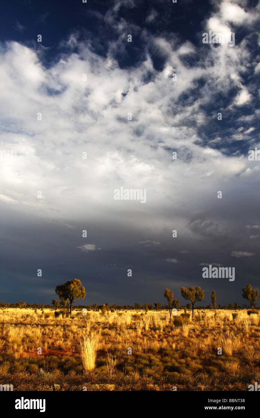Dry nt hi-res stock photography and images - Alamy