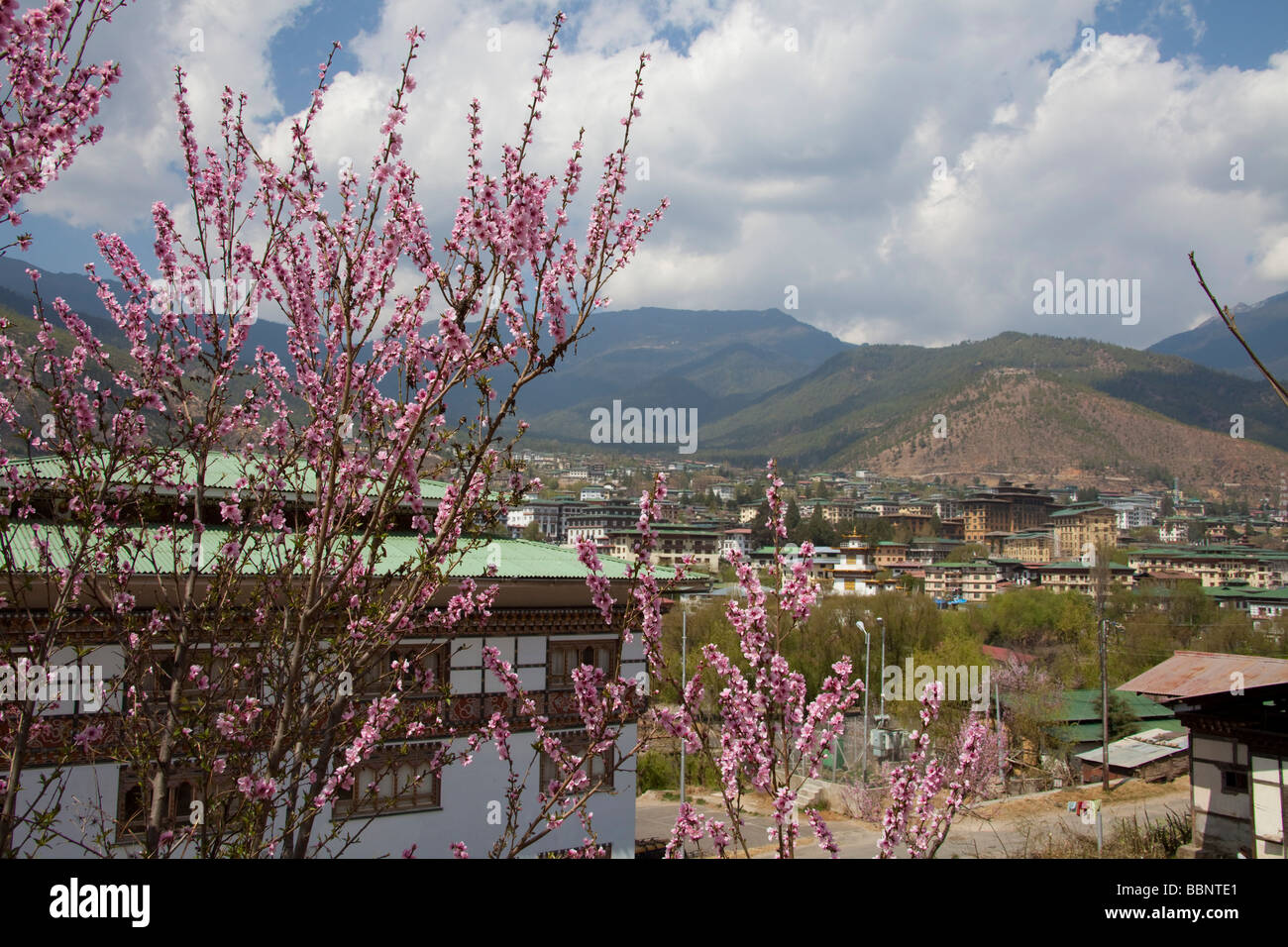 General view of Thimphu capital city of Bhutan, sunny spring day, green ...
