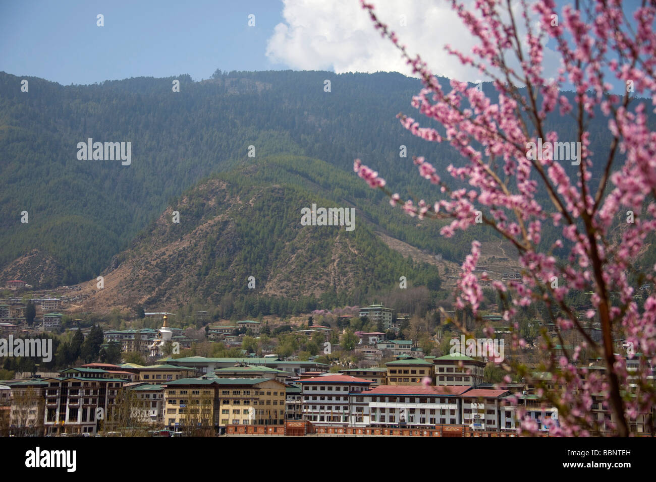 General view of Thimphu capital city of Bhutan, sunny spring day, green ...