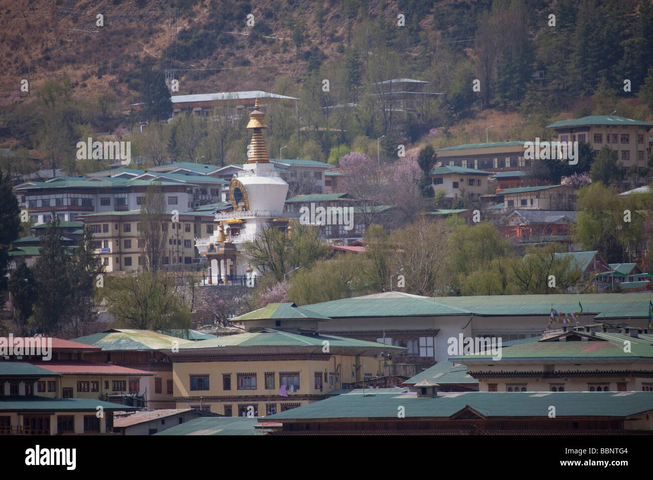 Memorial Chorten above green roofs townscape in Thimphu capital city of ...