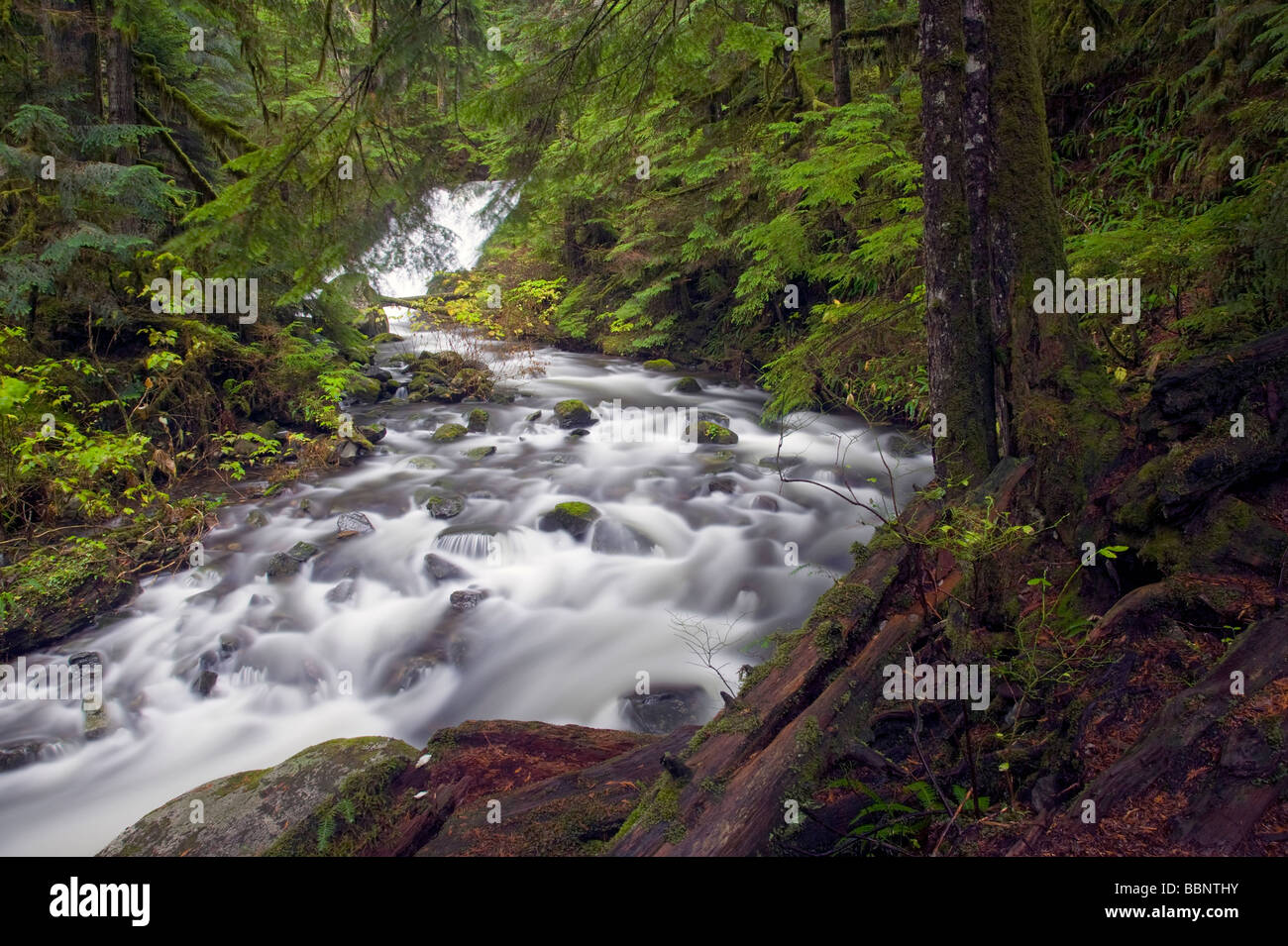 Lake twentytwo research natural area hi-res stock photography and ...