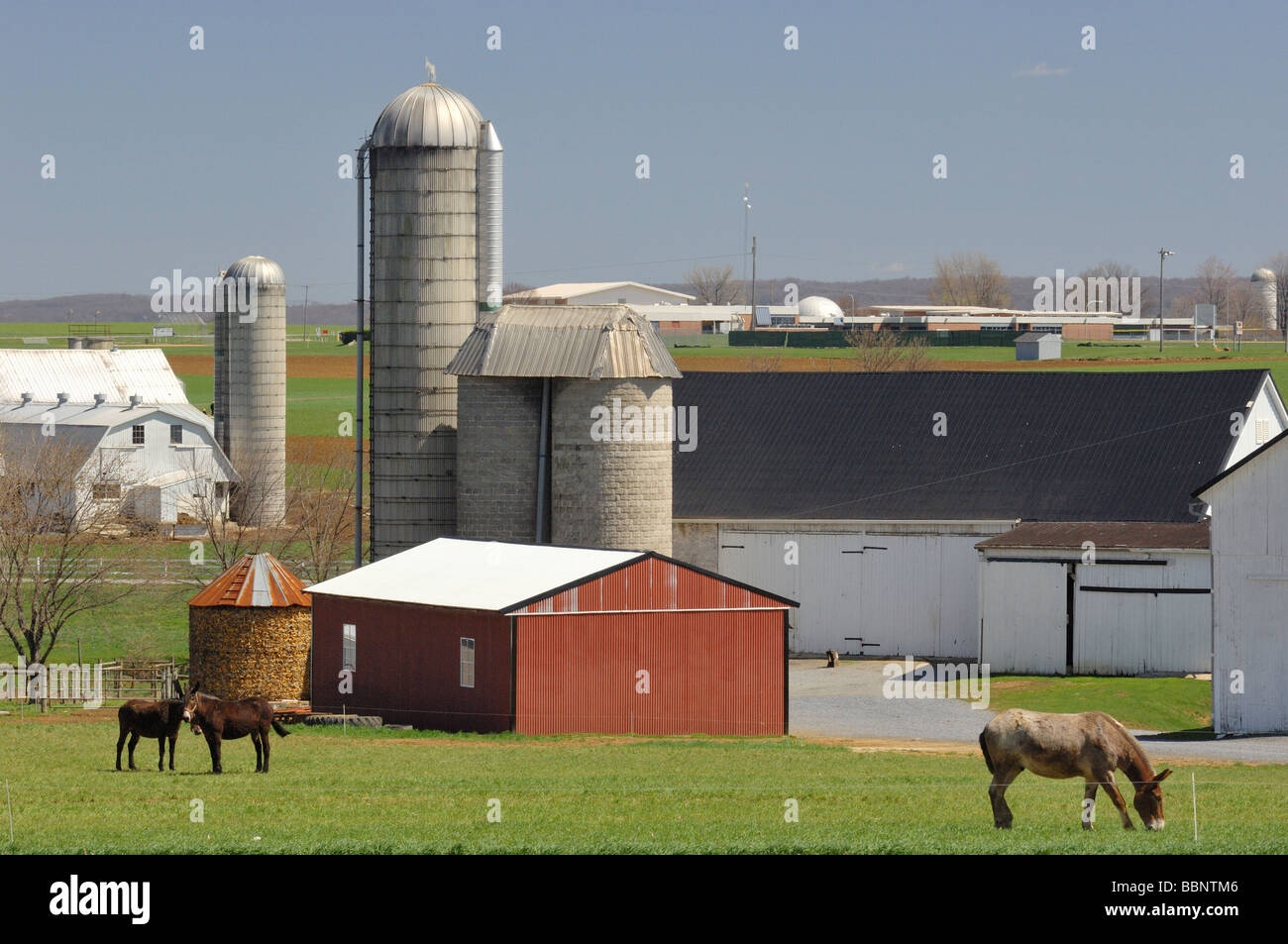 Pennsylvania Amish High Resolution Stock Photography and Images - Alamy