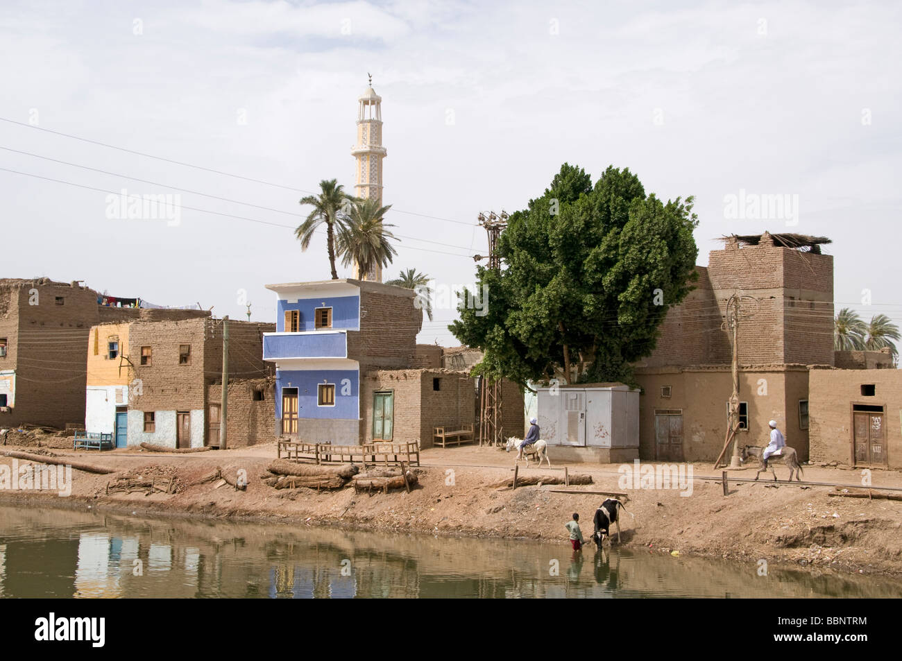 Nile River Egypt Farm Farmer agriculture field old village on the nile ...