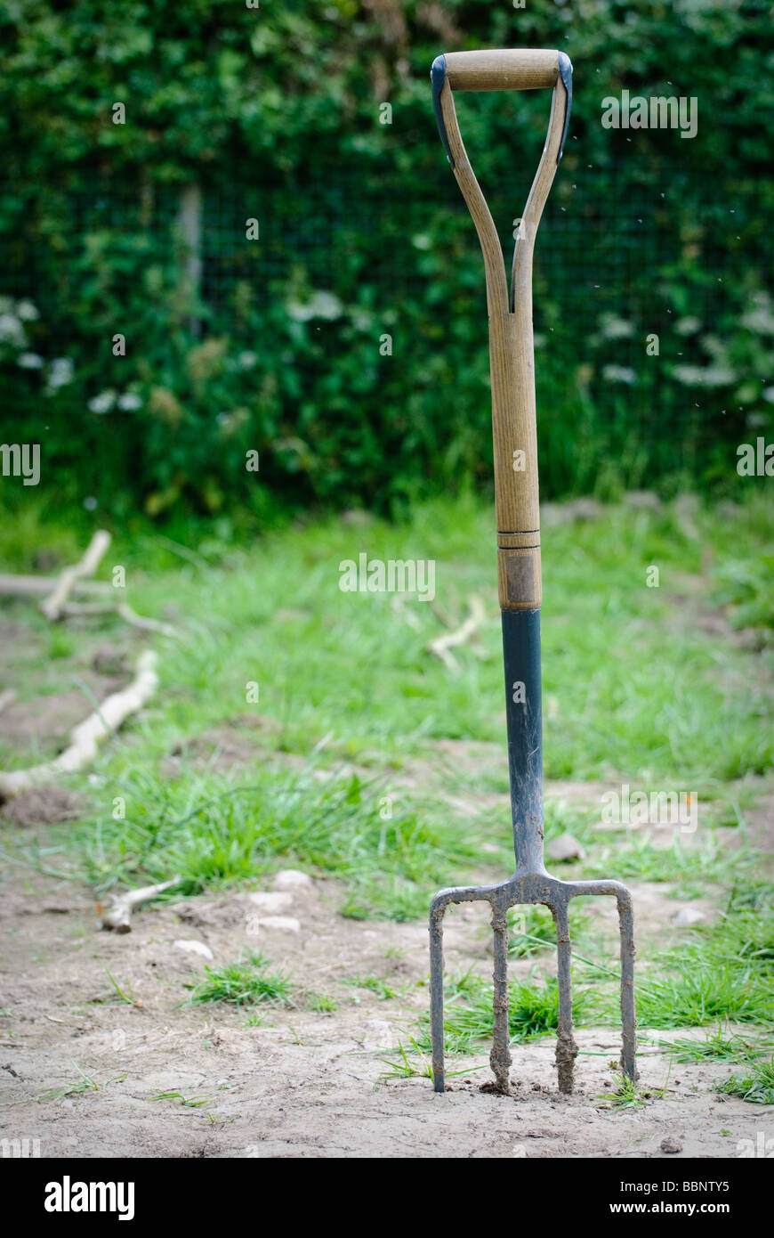 garden fork in rough weed covered ground Stock Photo - Alamy