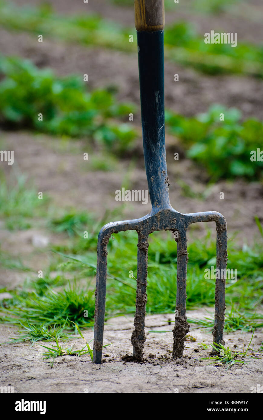 Fork stuck in soil hi-res stock photography and images - Alamy