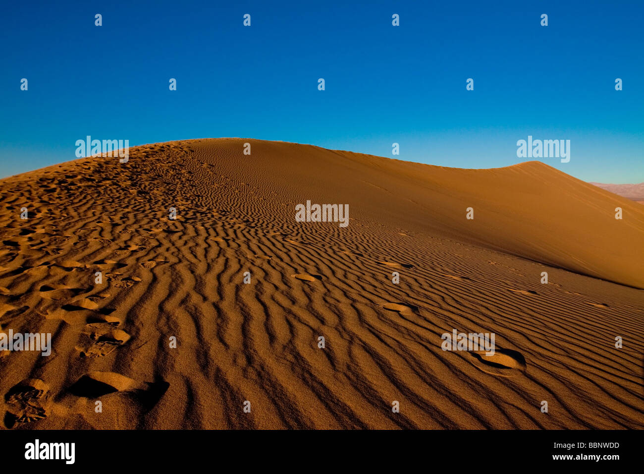 Sand dune, Death Valley Stock Photo - Alamy