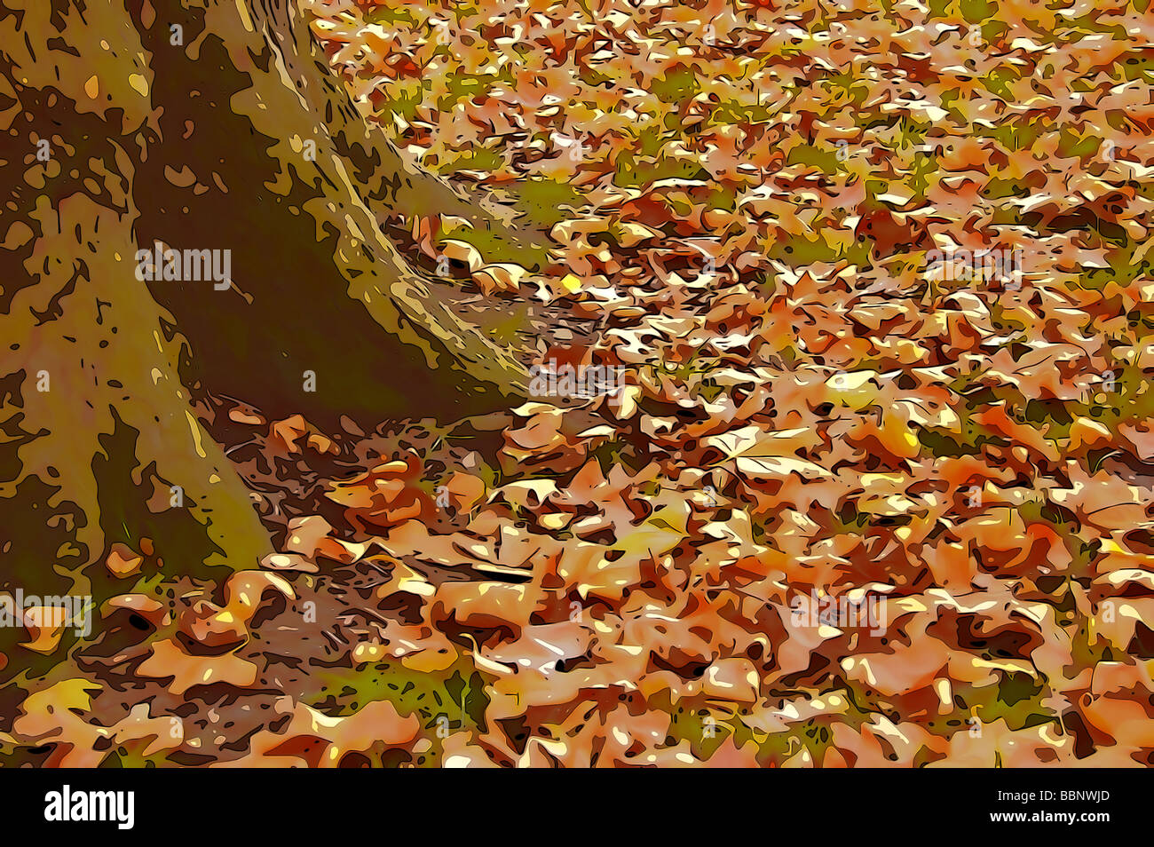 Cel-shaded illustration of autumn leaves fallen on ground by tree trunk ...