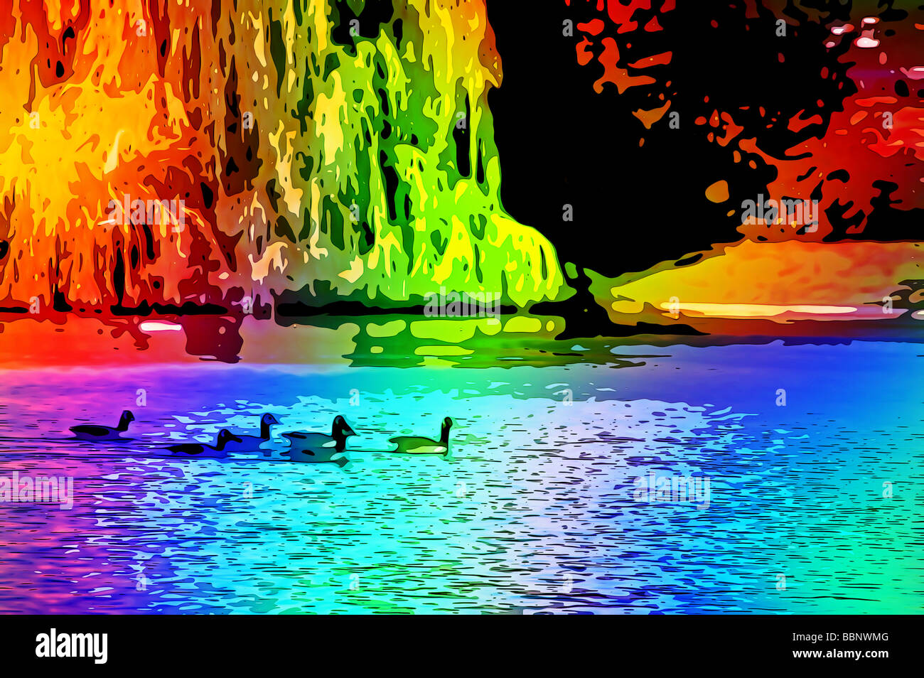 Cel-shaded illustration of geese floating on water Stock Photo - Alamy