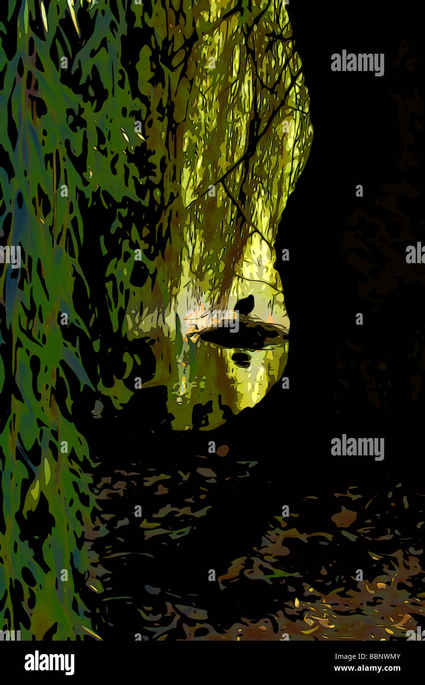 Cel-shaded illustration of trees and bird in forest Stock Photo - Alamy