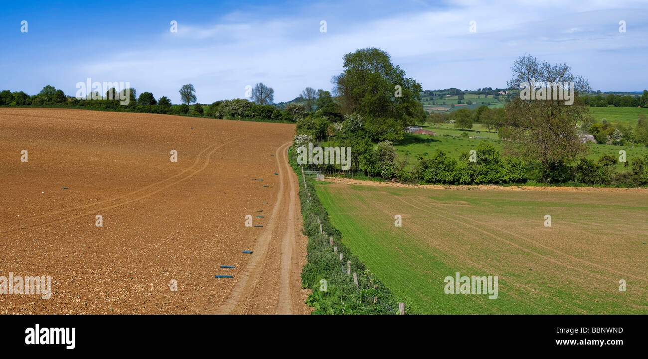 agriculture and farming in the english countryside Stock Photo - Alamy