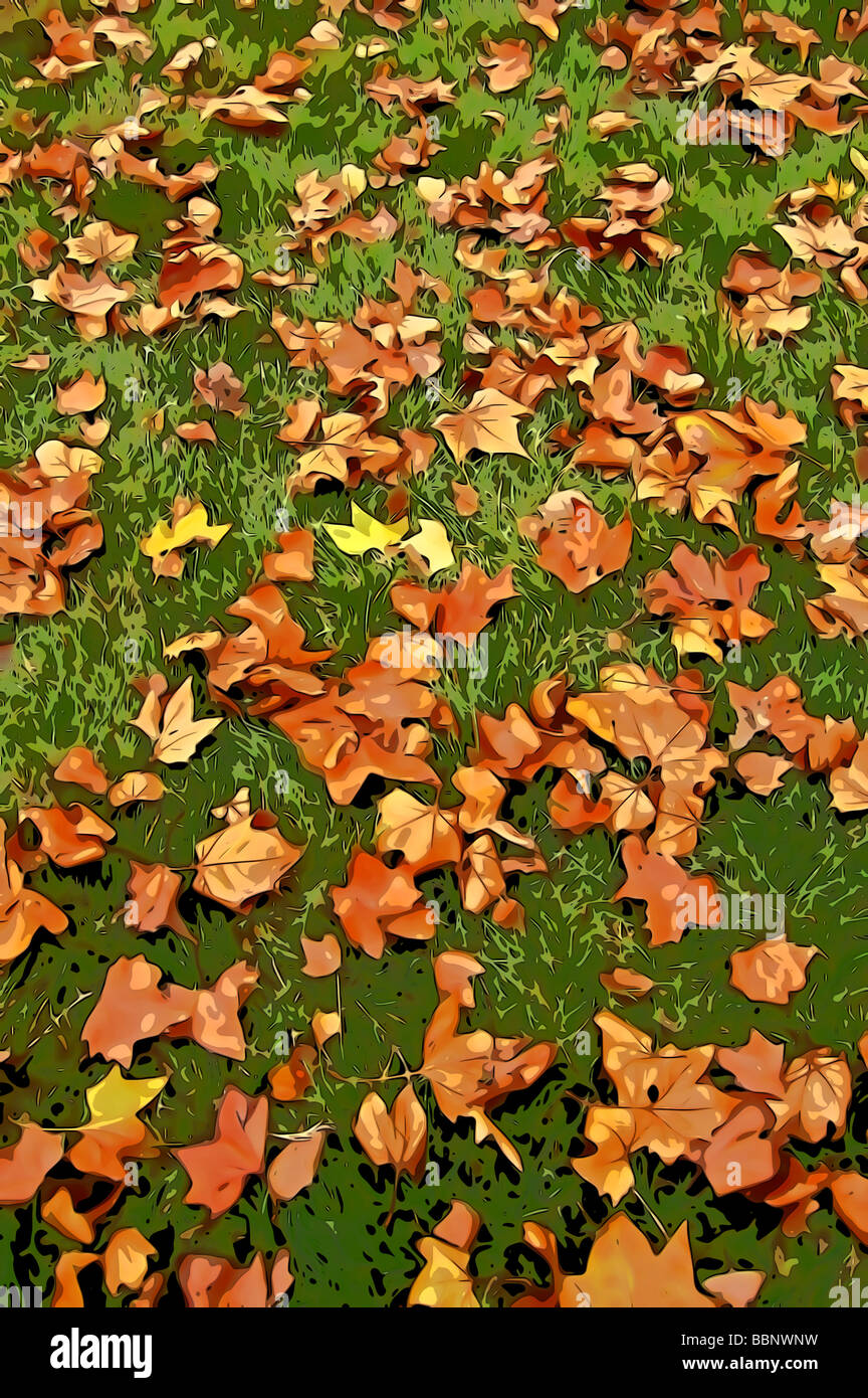 Cel Shaded High Resolution Stock Photography and Images - Alamy