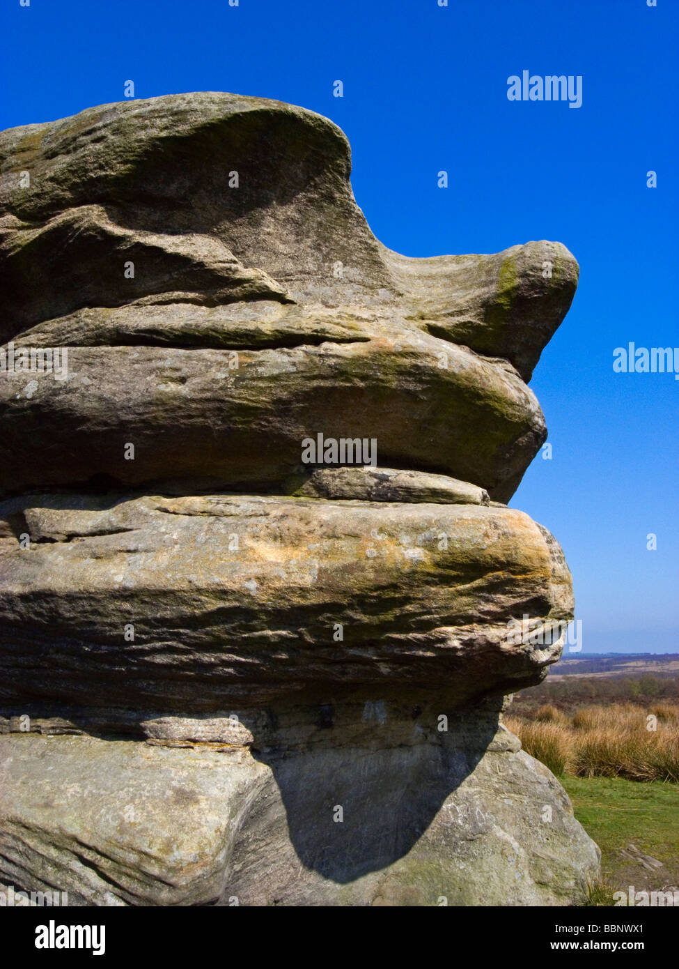Edge of park hi-res stock photography and images - Alamy