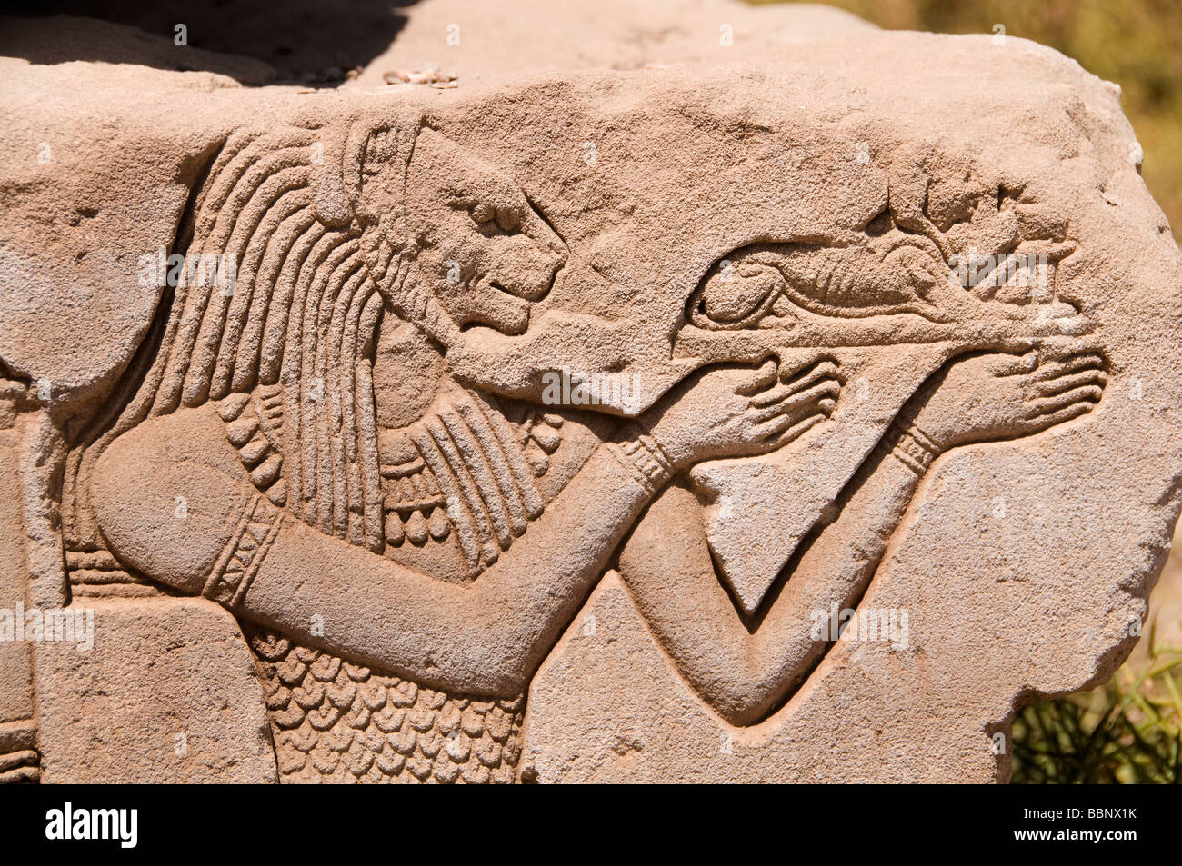 Dendera temple complex hi-res stock photography and images - Alamy