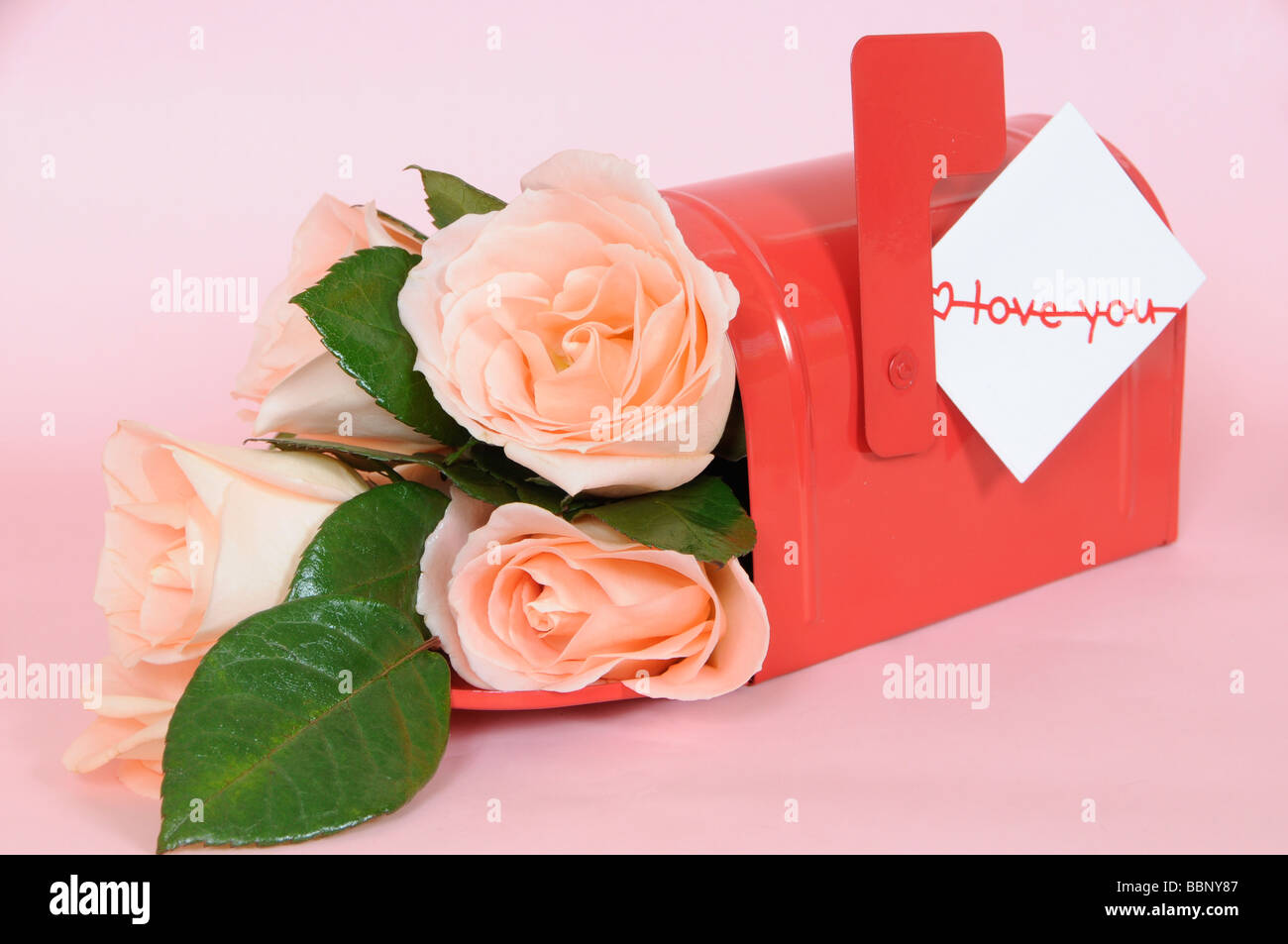 Pink Roses in Mail Box Stock Photo - Alamy