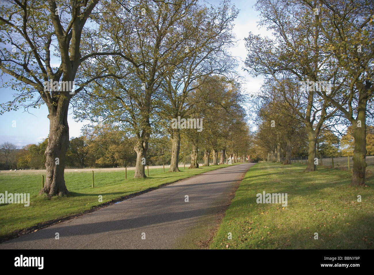 country lane estate warwickshire midlands england uk Stock Photo - Alamy