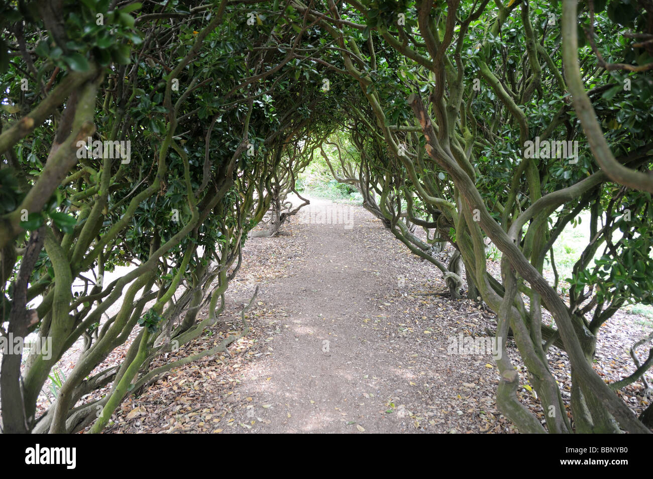 Shady pathway hi-res stock photography and images - Alamy