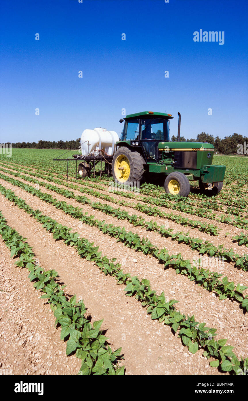 Crops in field,tractor in fields, crops in rows, farm worker Stock ...