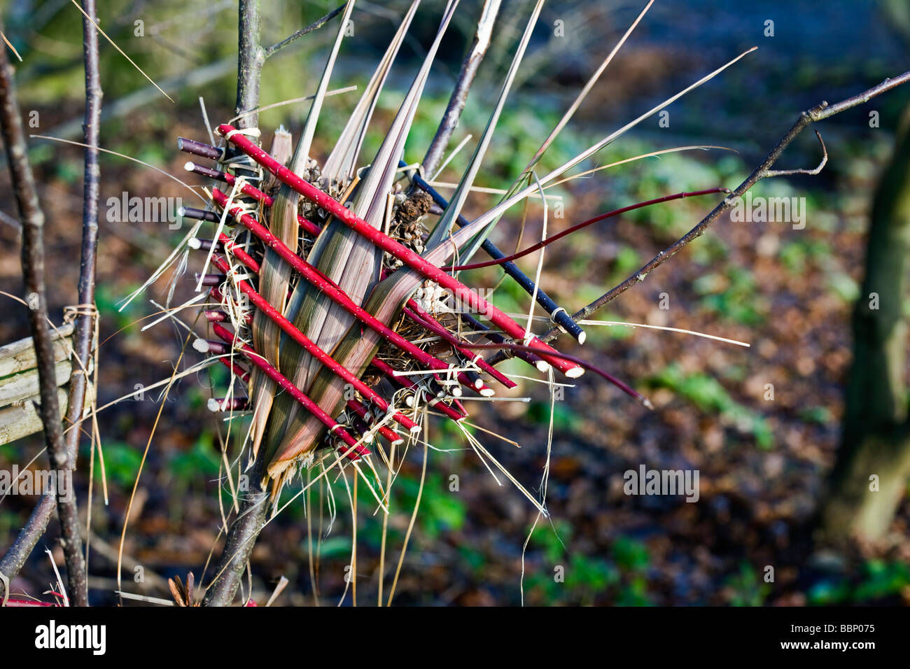 Wildlife garden hi-res stock photography and images - Alamy