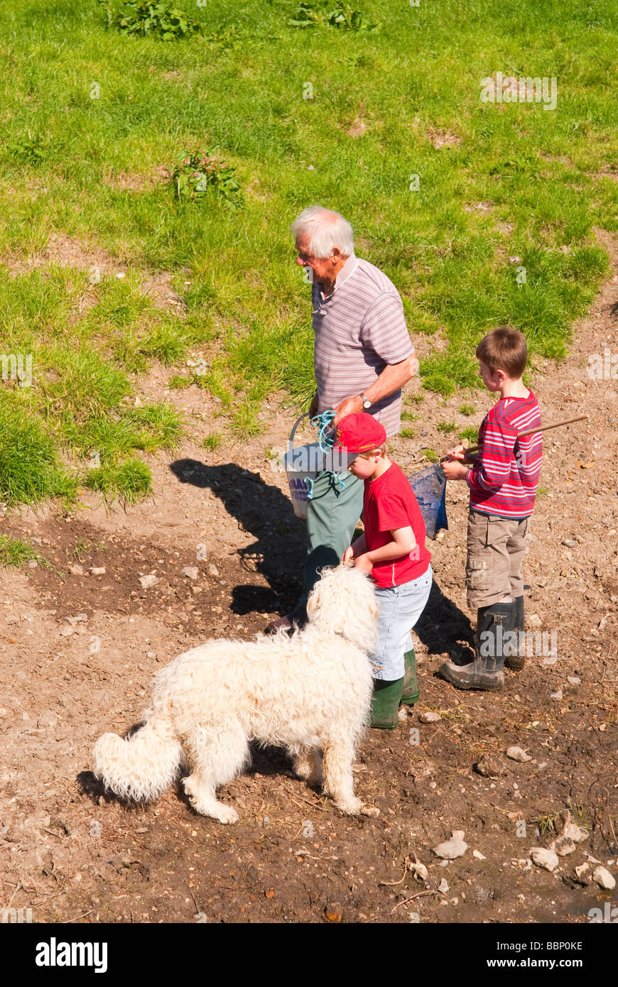 Two young boys visiting their great uncle's farm in the countryside in ...
