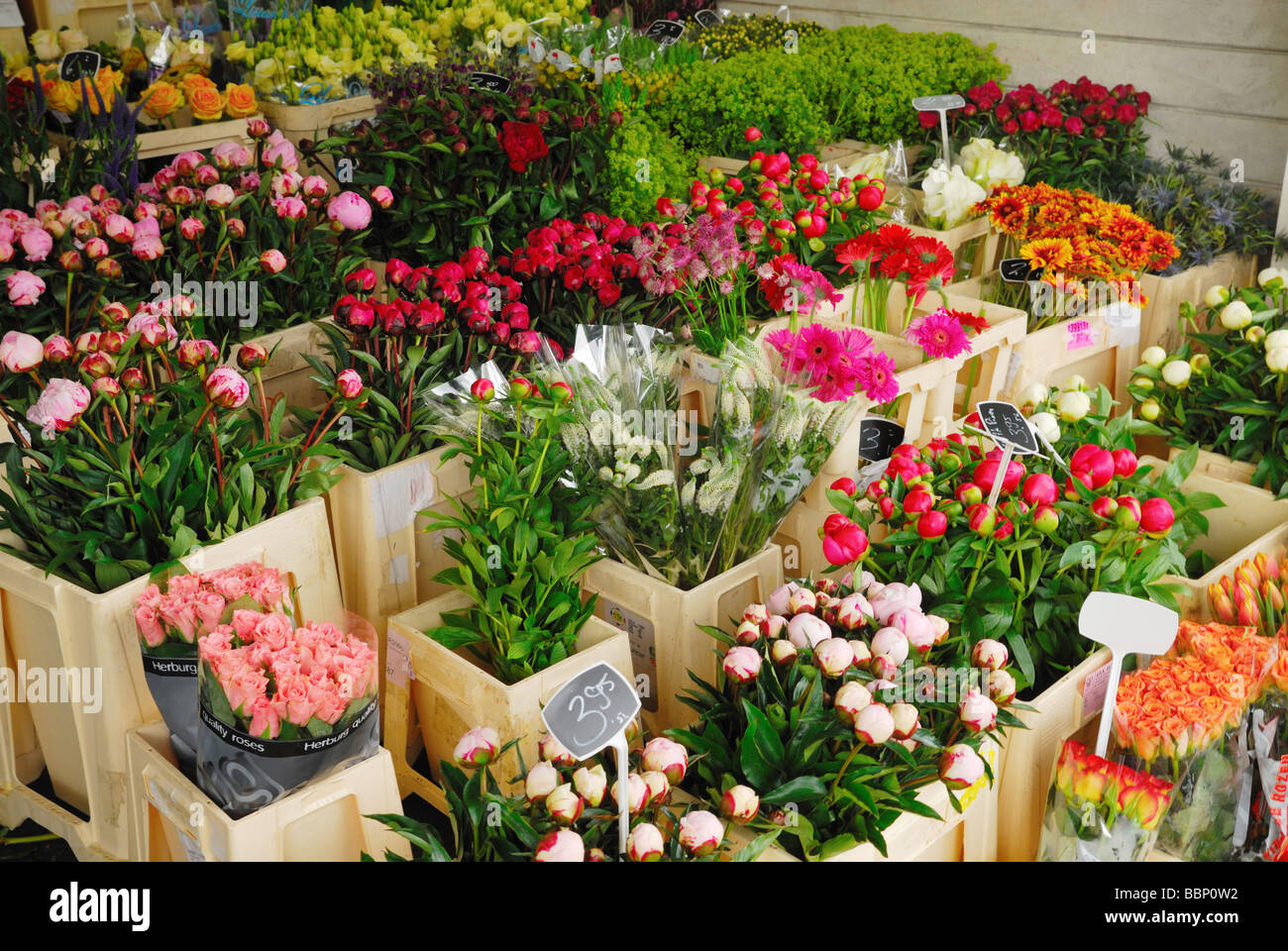 Amsterdam flowers hi-res stock photography and images - Alamy