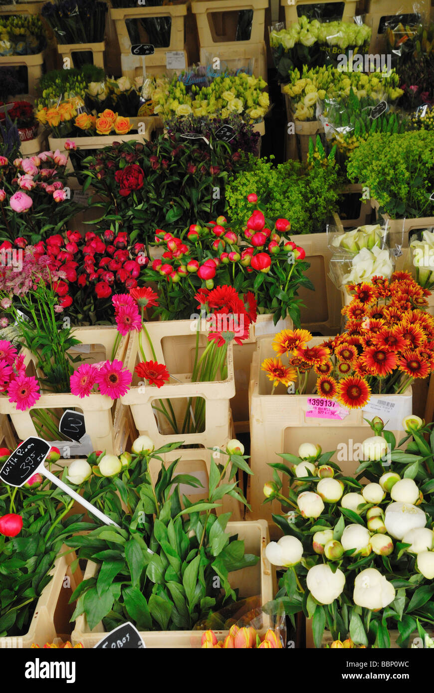 Amsterdam flowers hi-res stock photography and images - Alamy