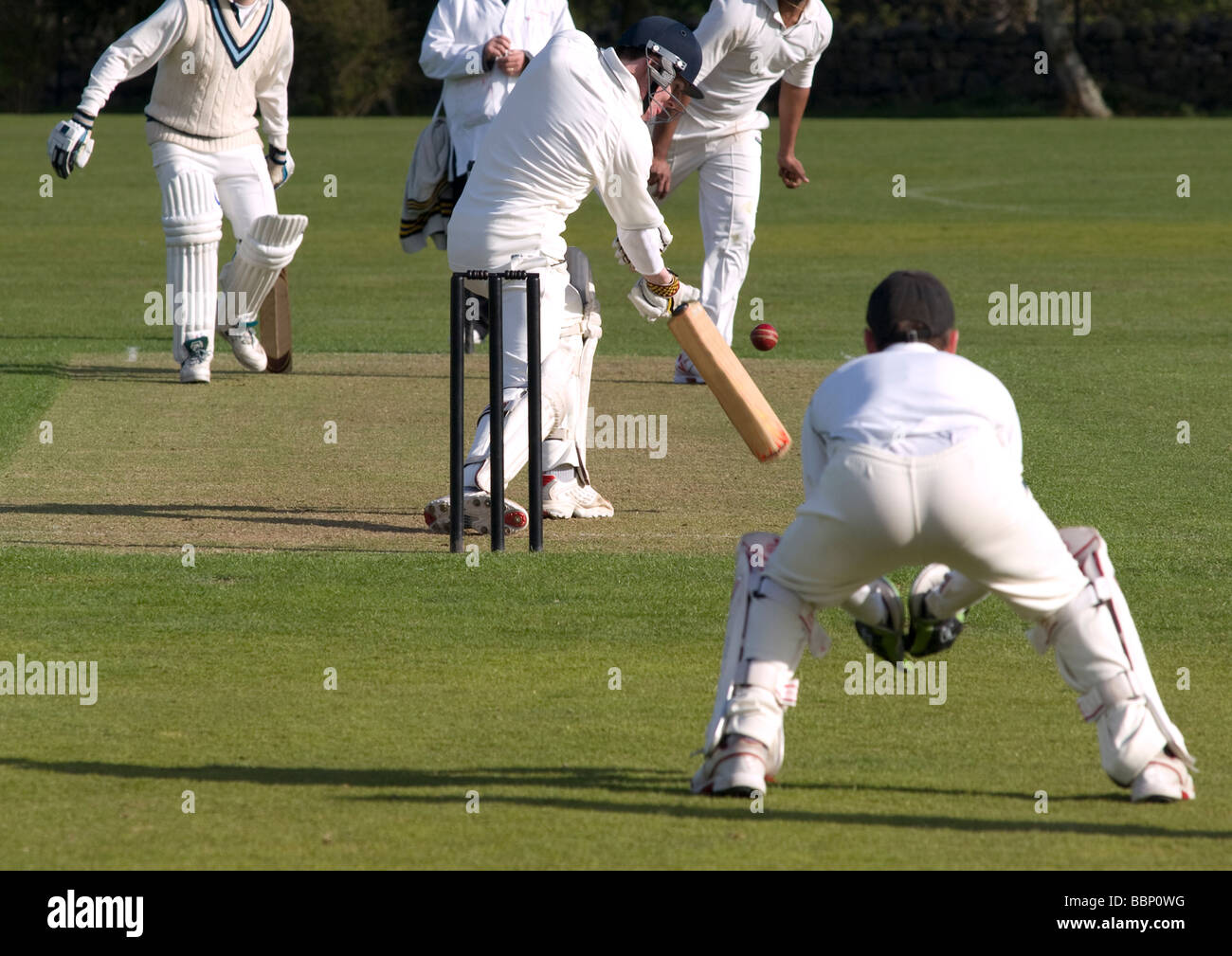 Playing cricket at a local league match Stock Photo - Alamy