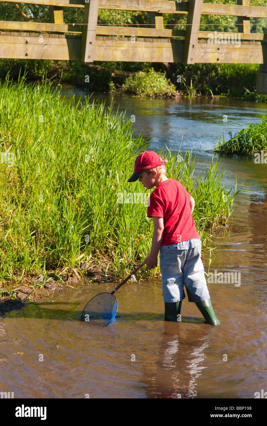 A five year old male boy child fishing with his fishing net trying to ...
