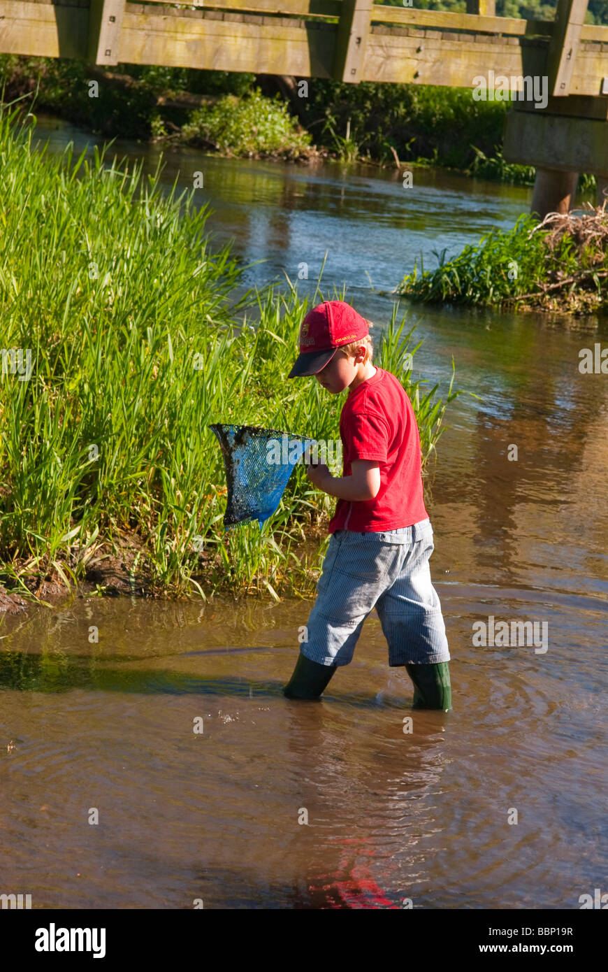 A five year old male boy child fishing with his fishing net trying to ...