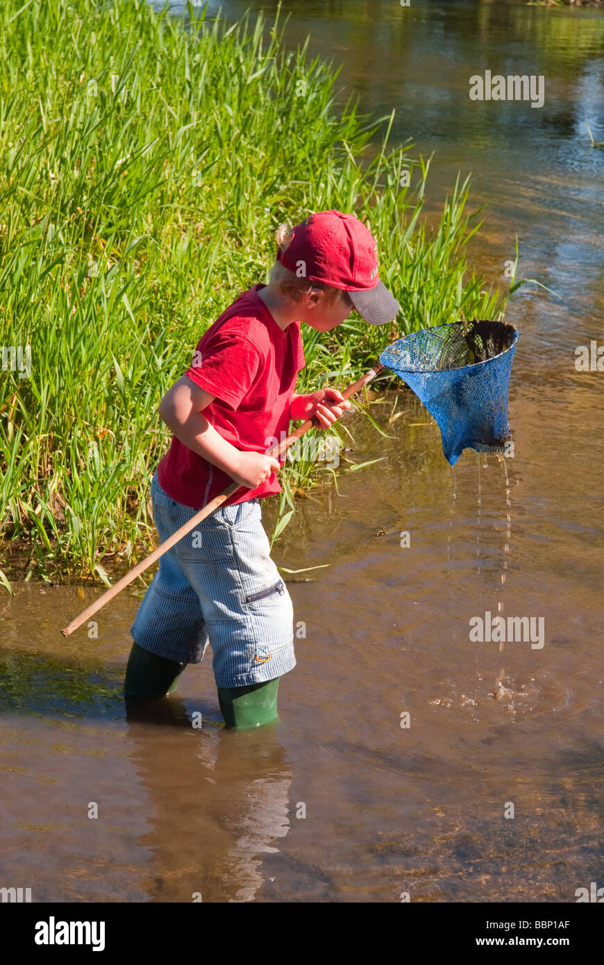 A five year old male boy child fishing with his fishing net trying to ...