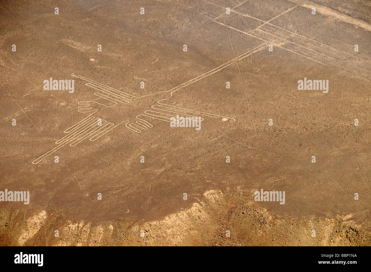 Nasca lines hi-res stock photography and images - Alamy