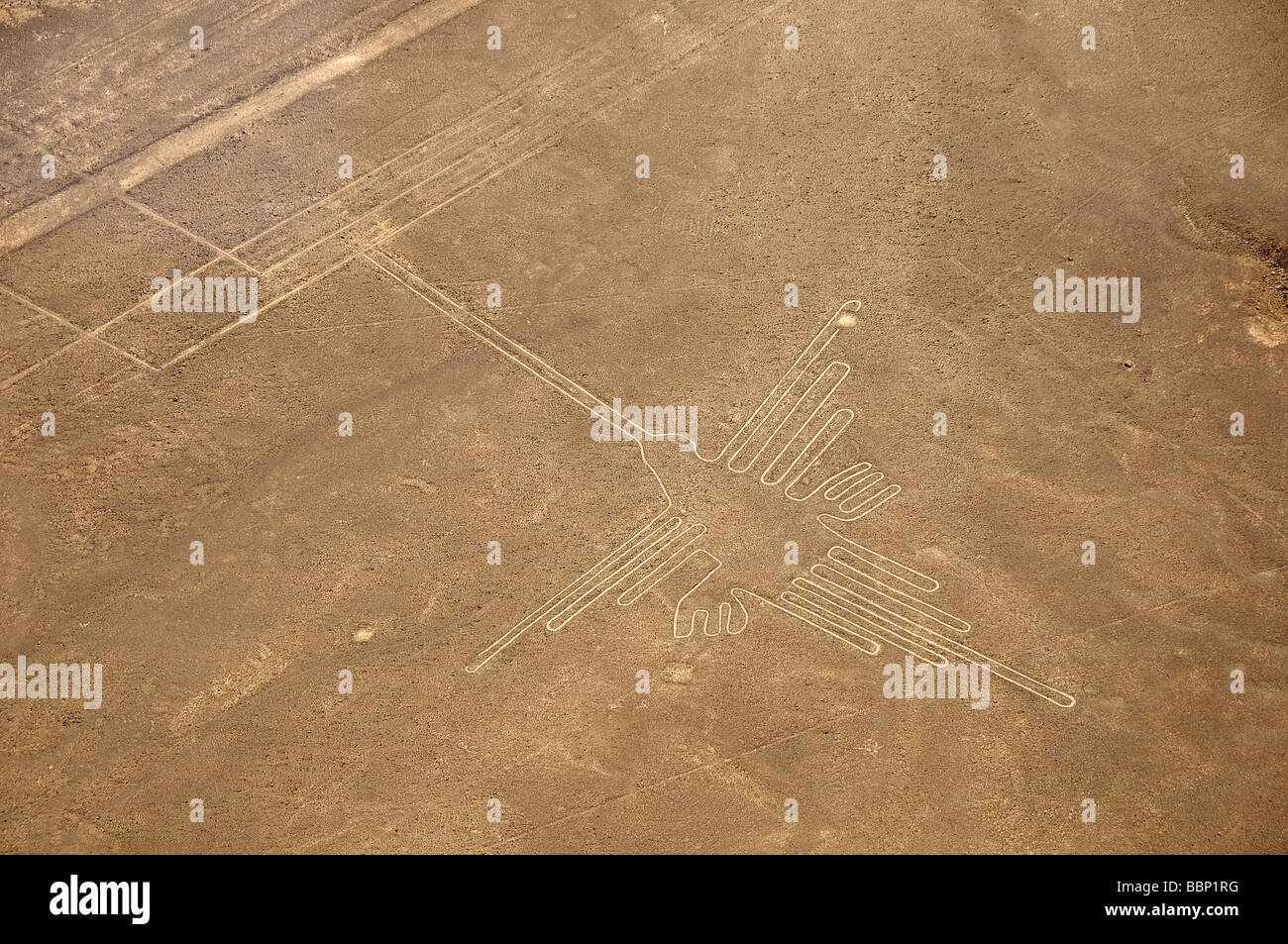 Nasca hi-res stock photography and images - Alamy