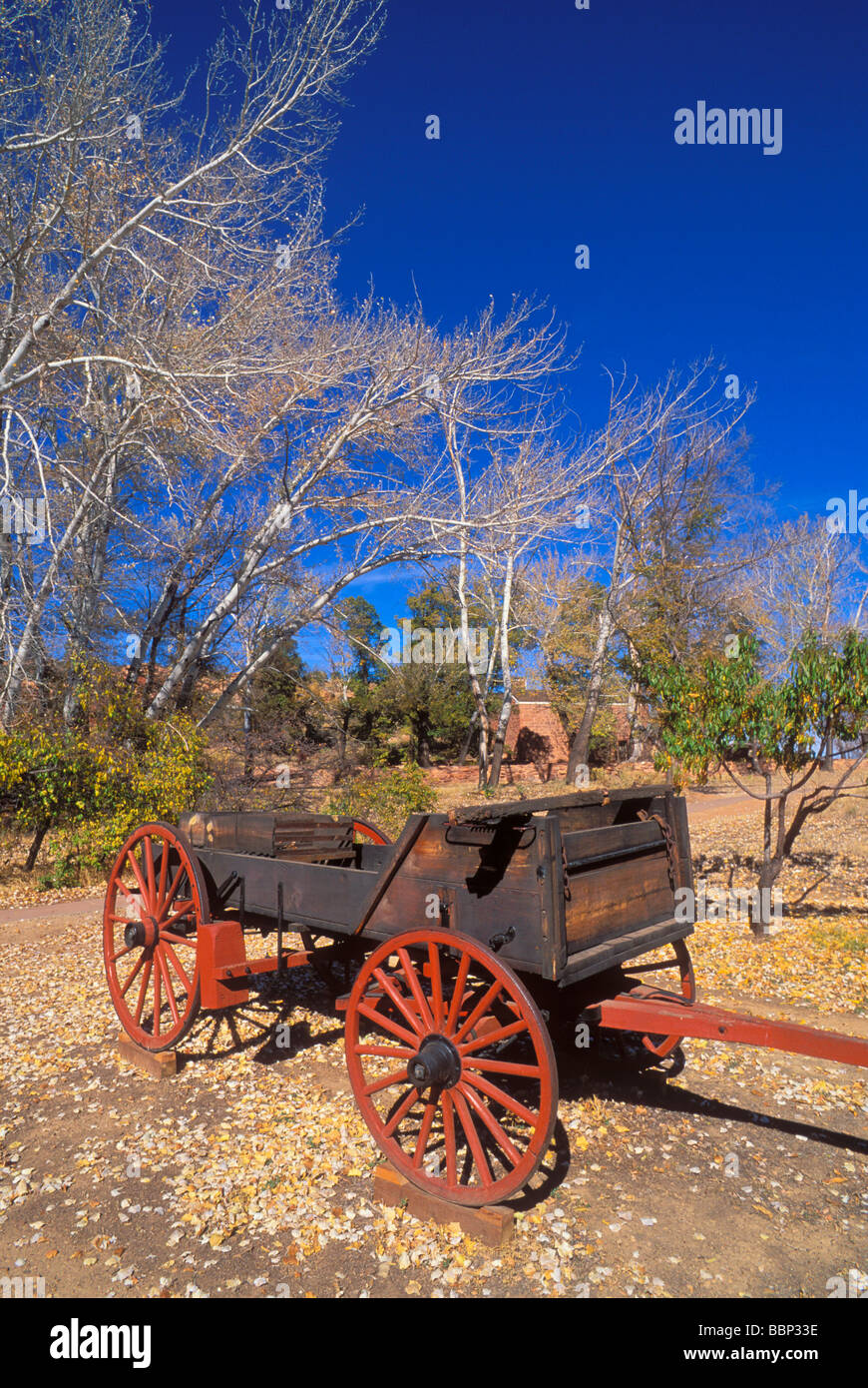 Wagon and fruit trees in the orchard at Pipe Spring Pipe Spring ...