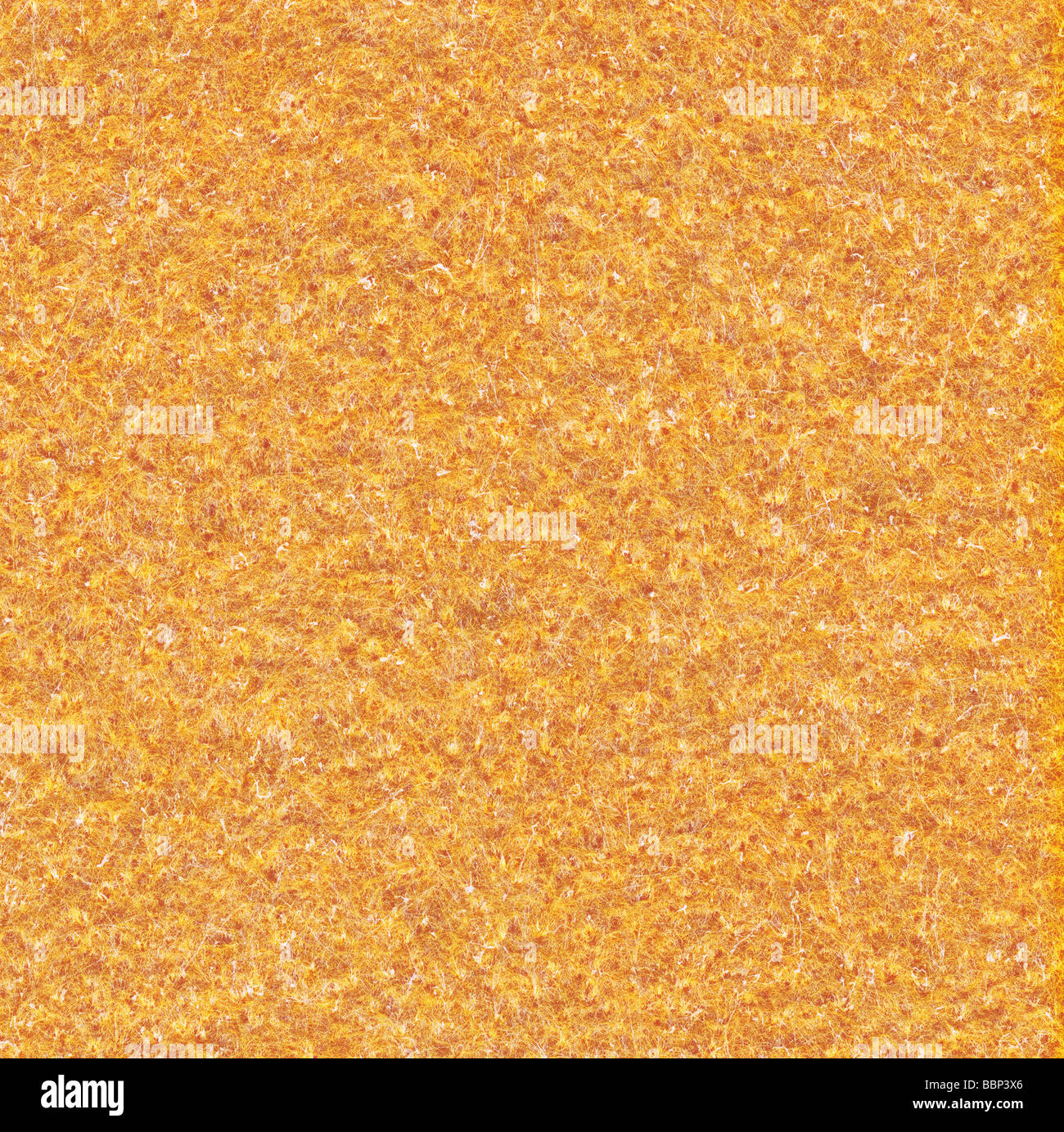 Fibrous tissue hi-res stock photography and images - Alamy