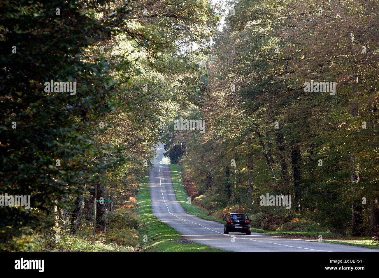 Auvergne france troncais hi-res stock photography and images - Alamy