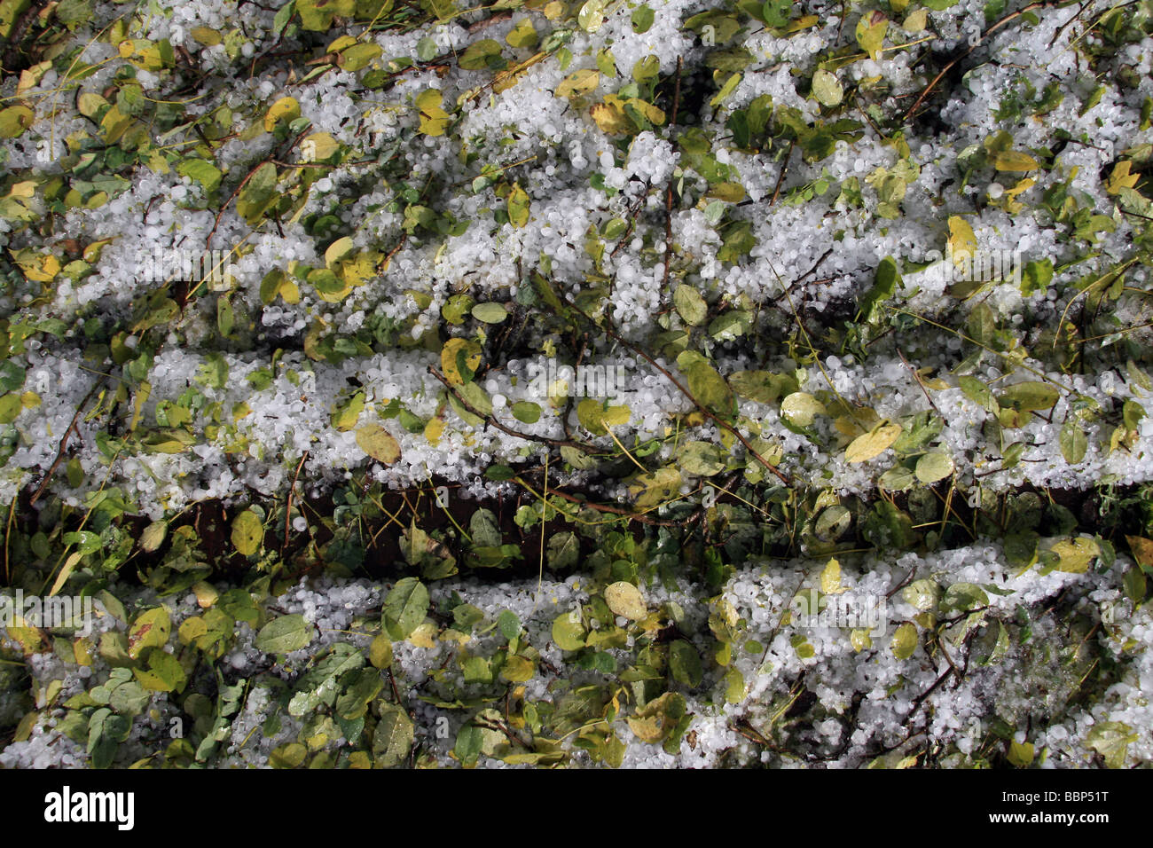 Small hail stones hi-res stock photography and images - Alamy