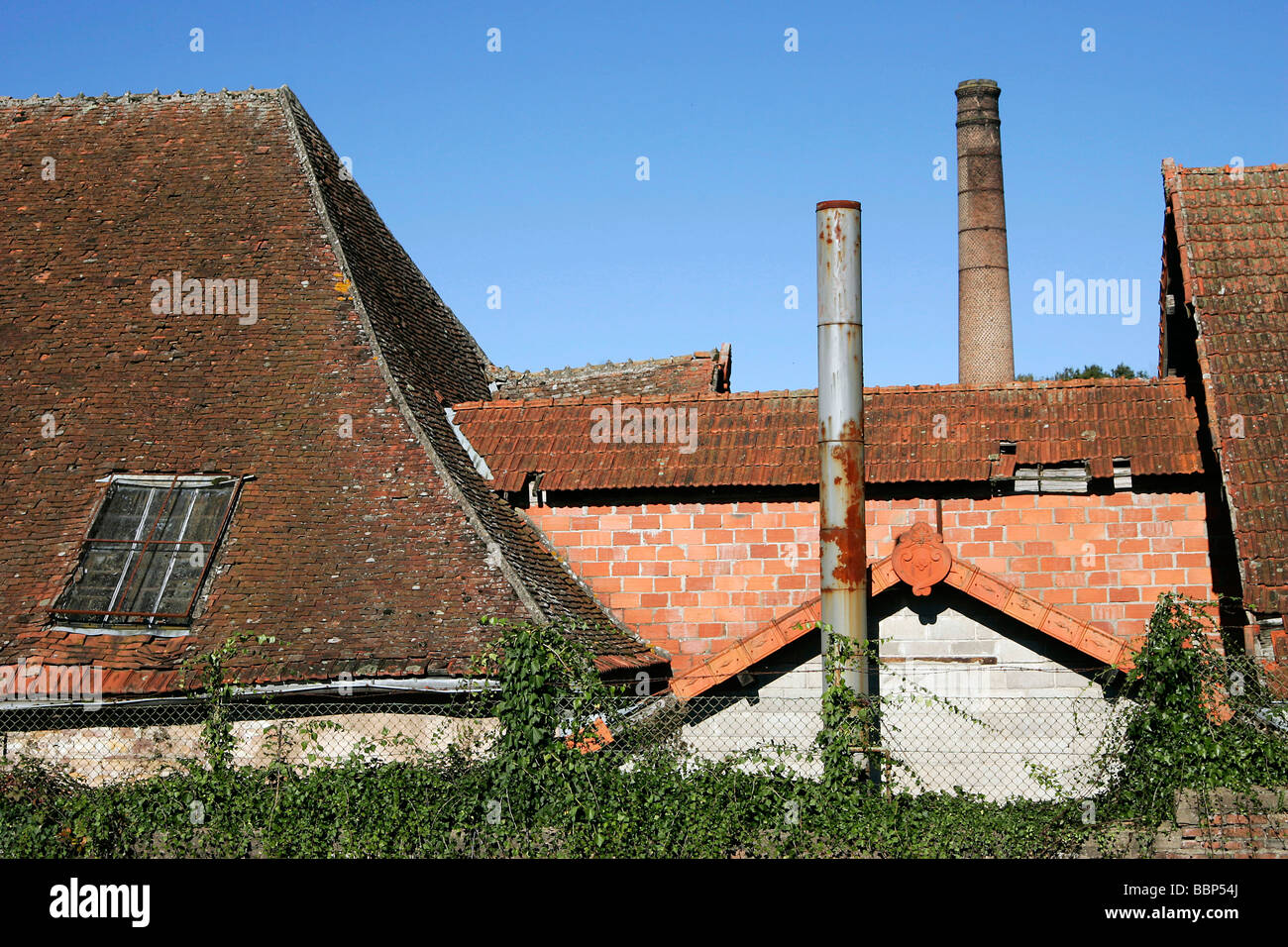 Troncais forest hi-res stock photography and images - Alamy