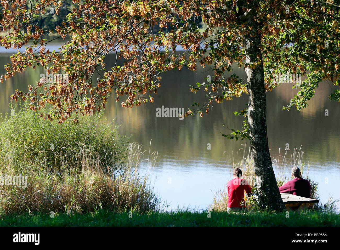 TRONCAIS POND, FOREST OF TRONCAIS, ALLIER (03), FRANCE Stock Photo - Alamy