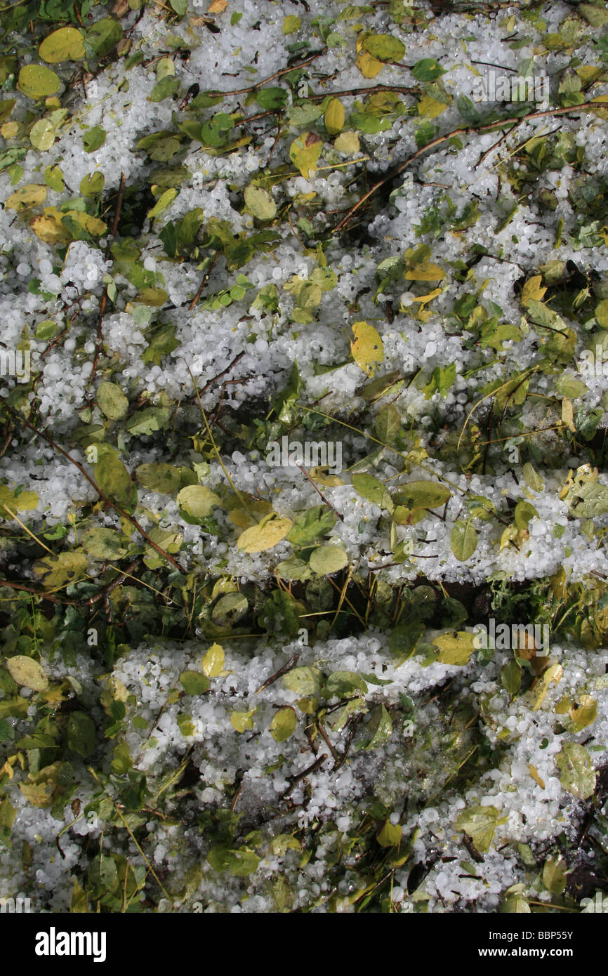 Small hail stones hi-res stock photography and images - Alamy
