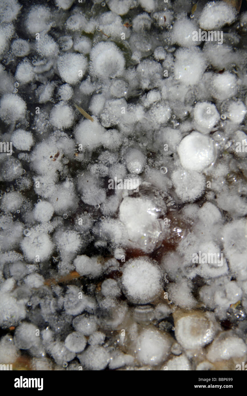 Small hail stones hi-res stock photography and images - Alamy