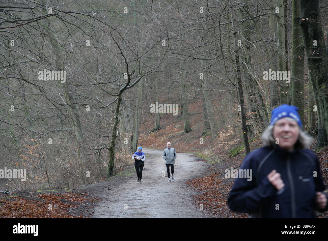 Older people in a forest in denmark making exercise Stock Photo - Alamy