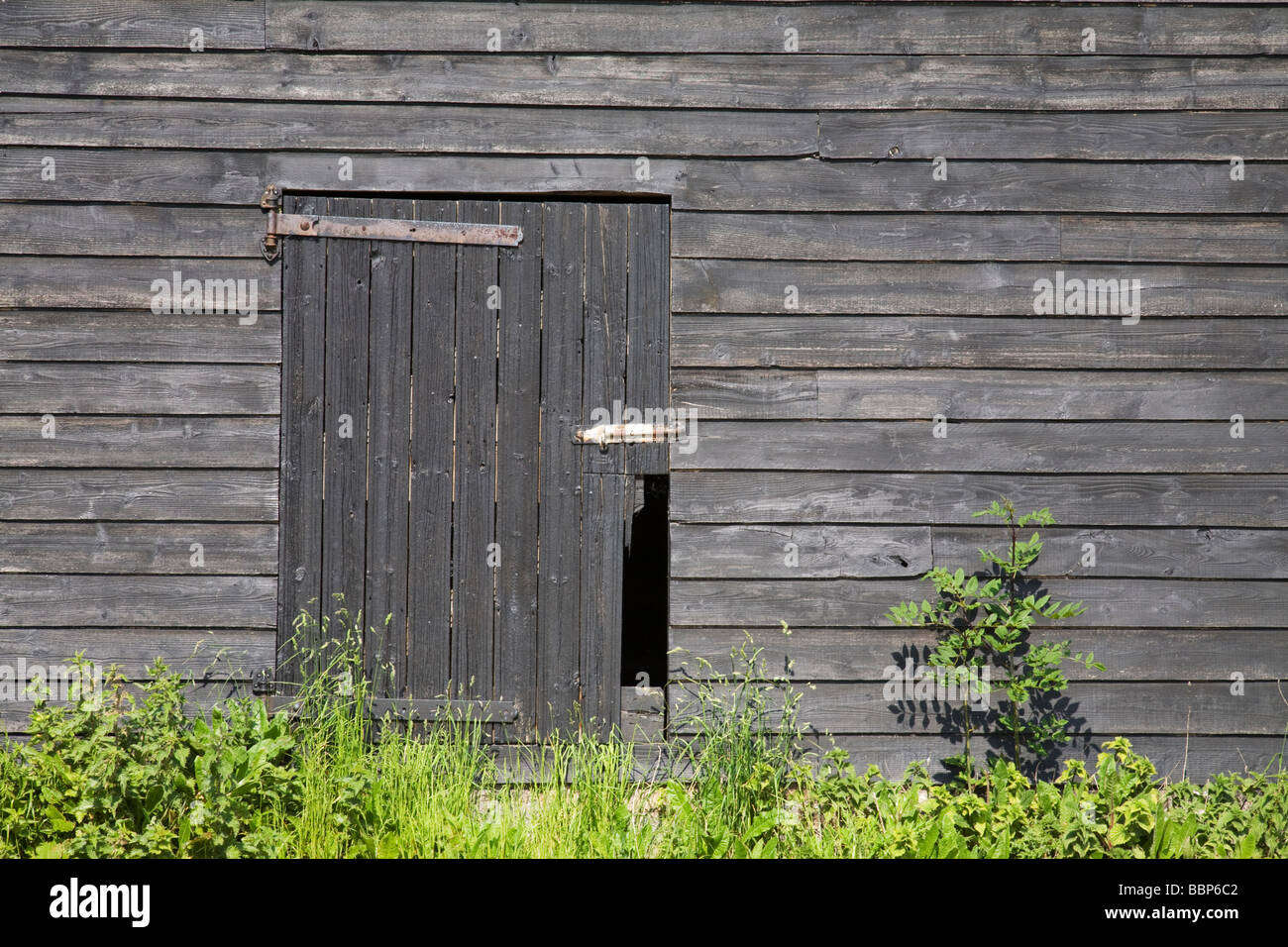 An old wooden barn door Stock Photo - Alamy
