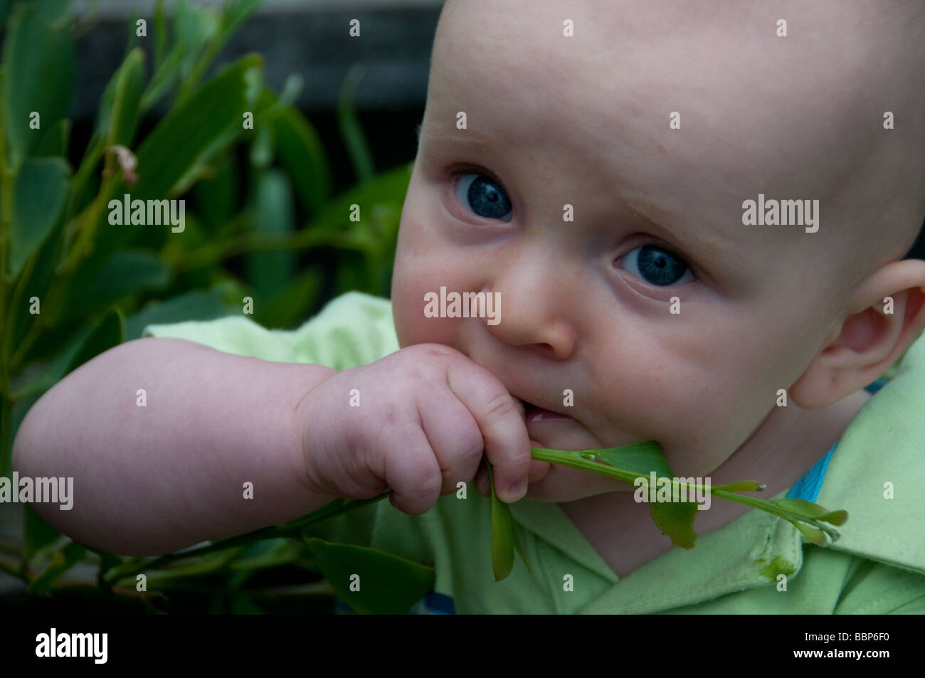 Boy eating naughty mischievous hi-res stock photography and images - Alamy